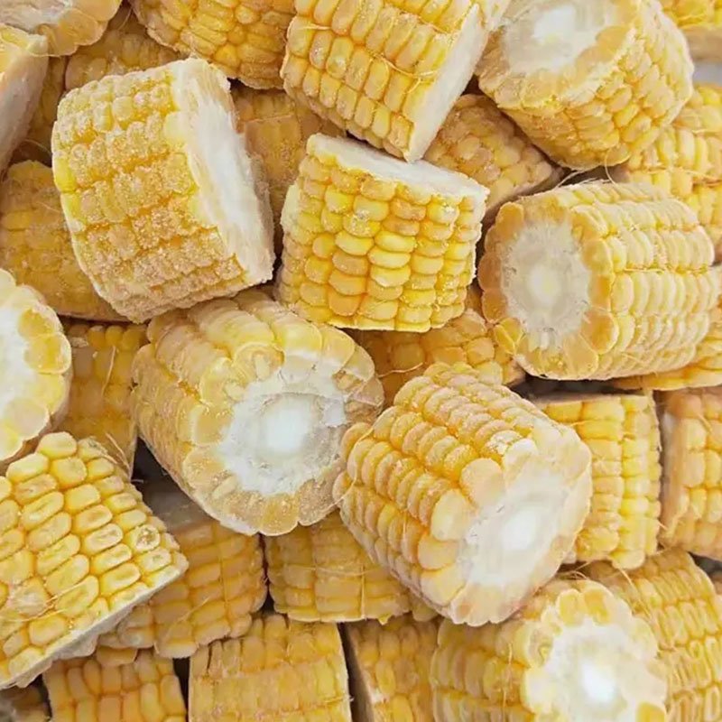 frozen corn cobs manufacture_wholesale frozen corn cob sweet yellow cor ...